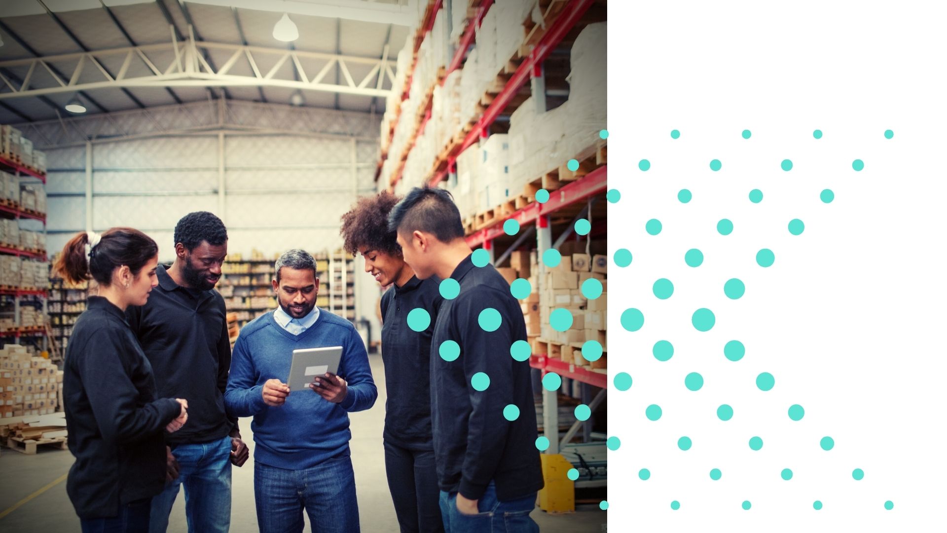 Sequoia Group: Distribution Management Solutions, 3PL, WMS