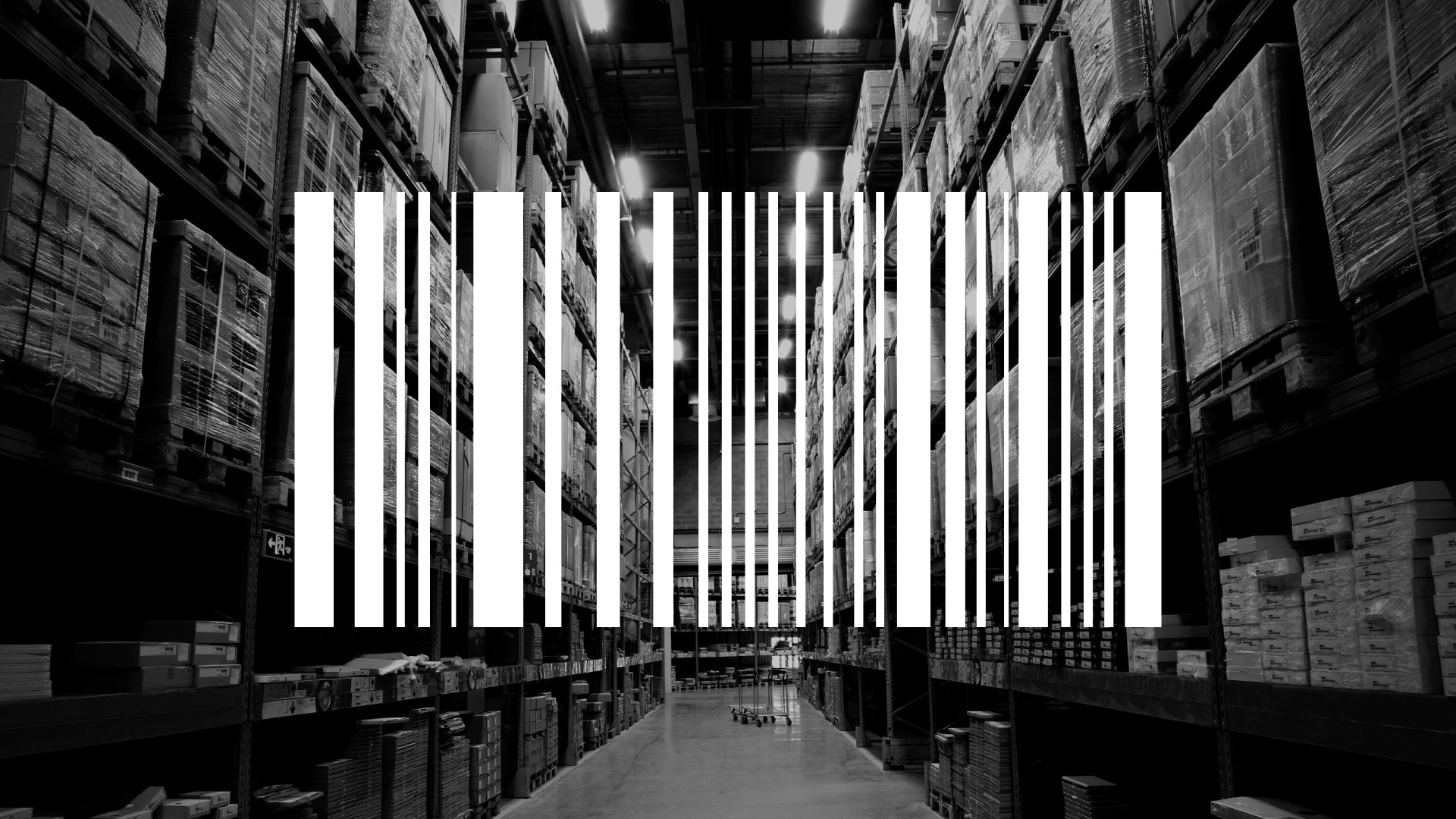 Distribution Management Solutions | 3PL | WMS: Sequoia Group